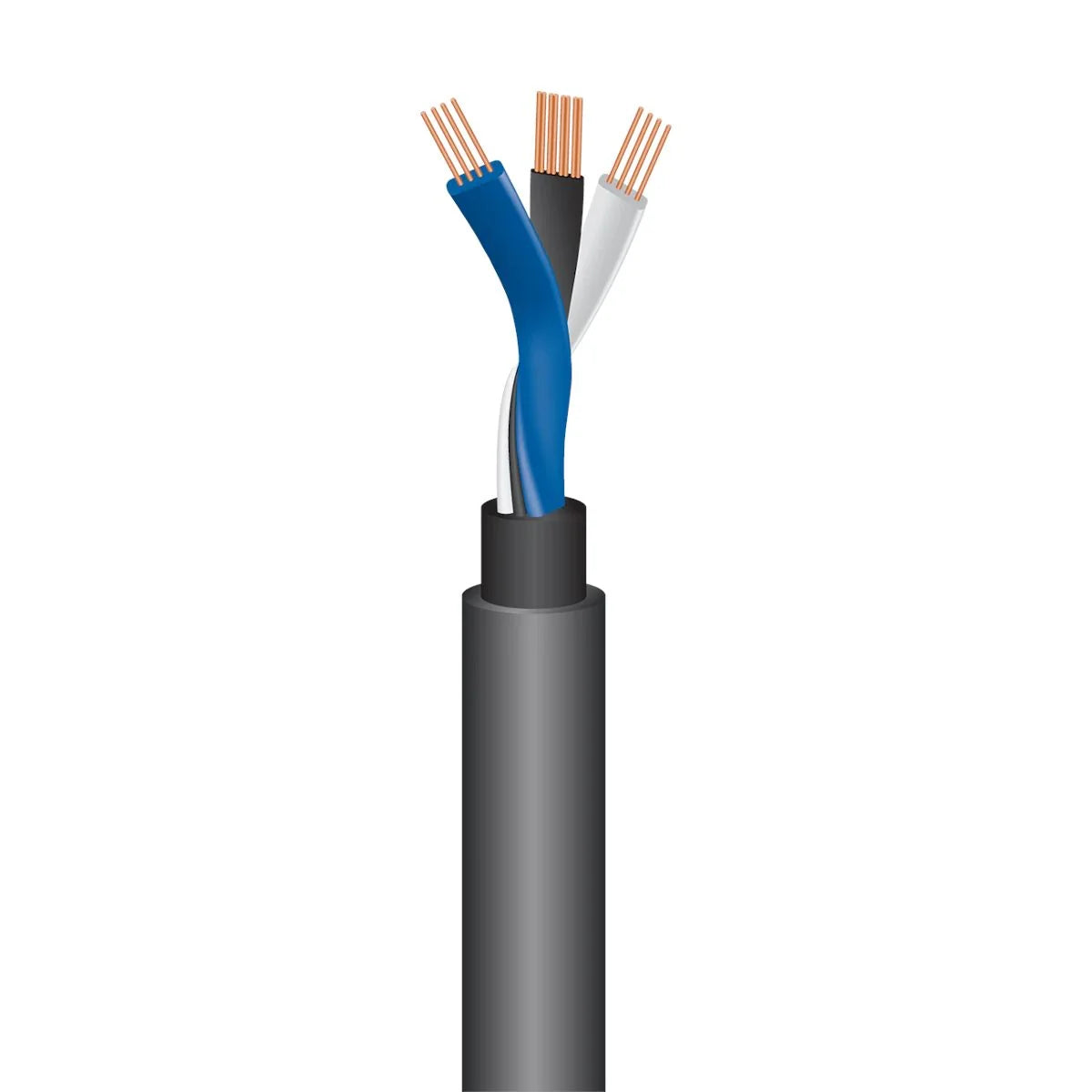 WIREWORLD Equinox® 10 Audio Interconnect Cable PAIR XLRF-RCA | The ...